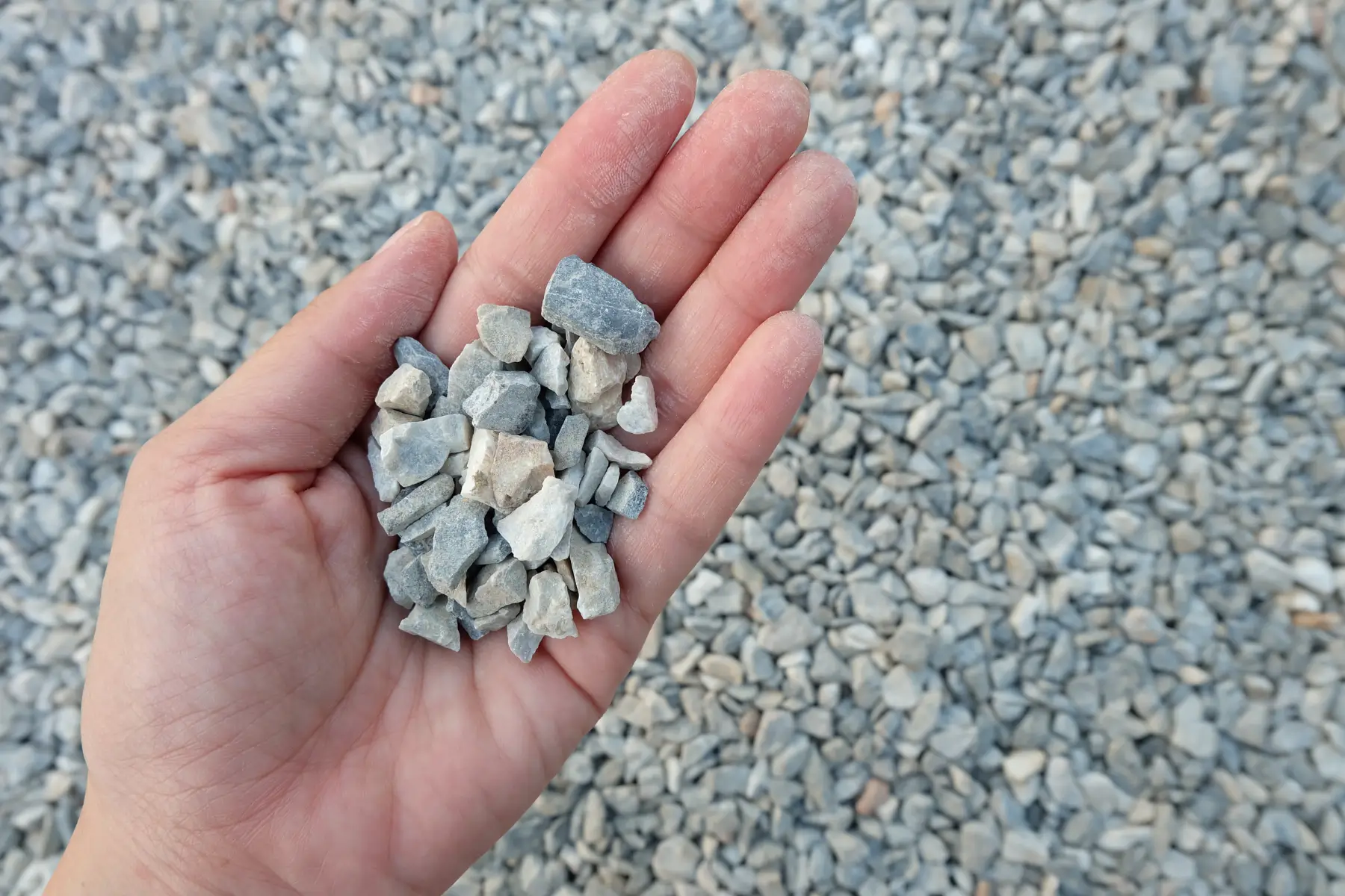 Best Mulch for Landscaping Projects in Colorado Springs
