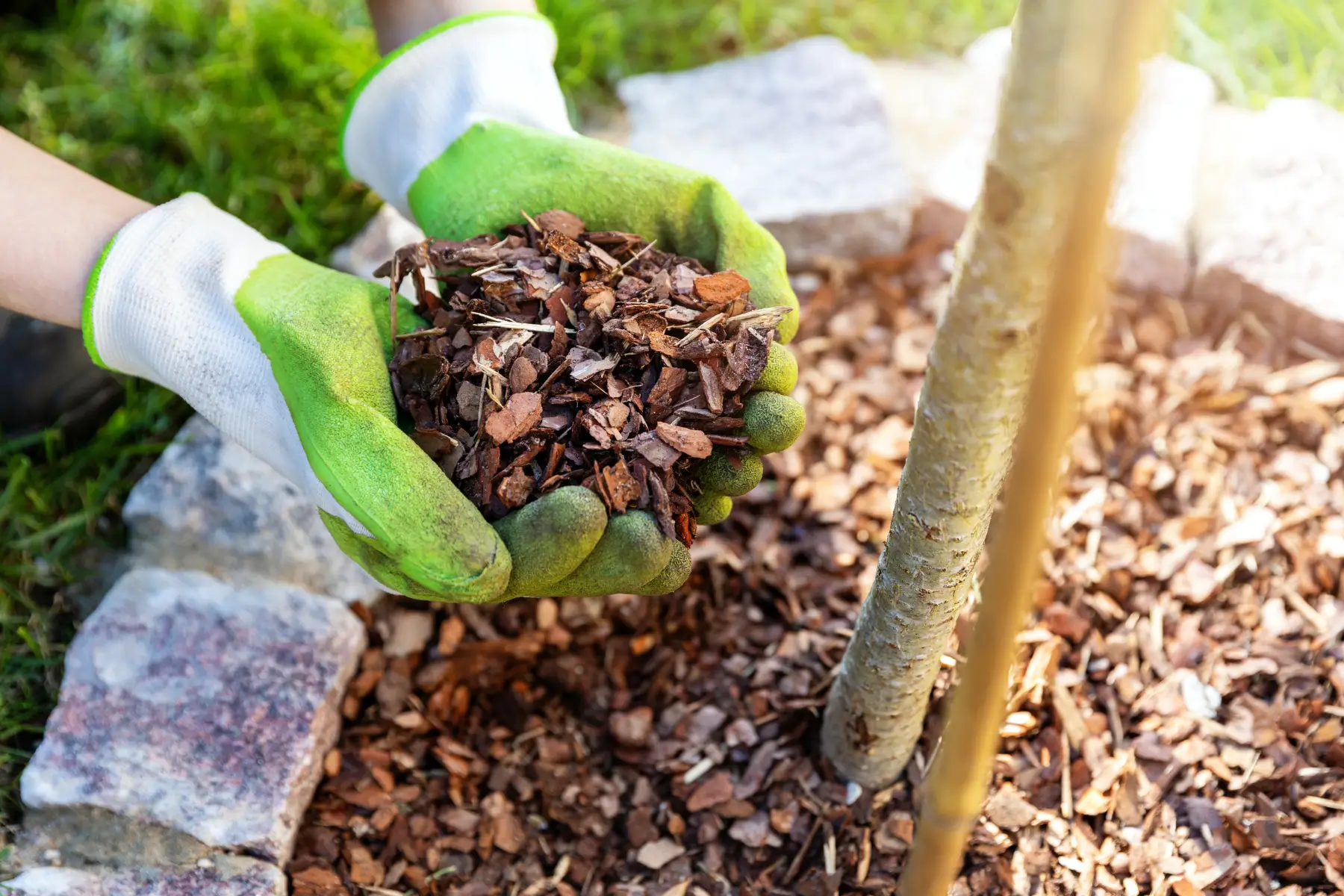 Best Mulch for Landscaping Projects in Colorado Springs
