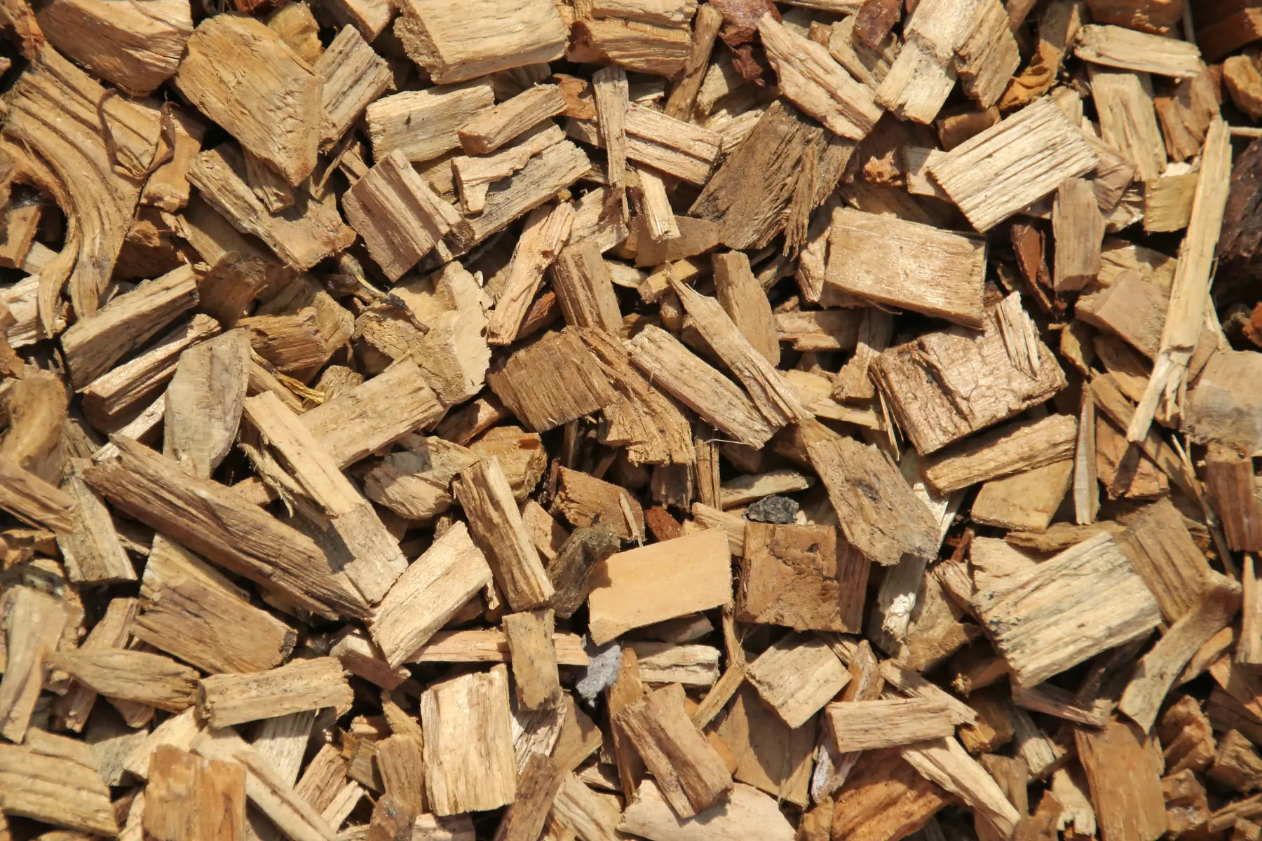 Best Mulch for Landscaping Projects in Colorado Springs