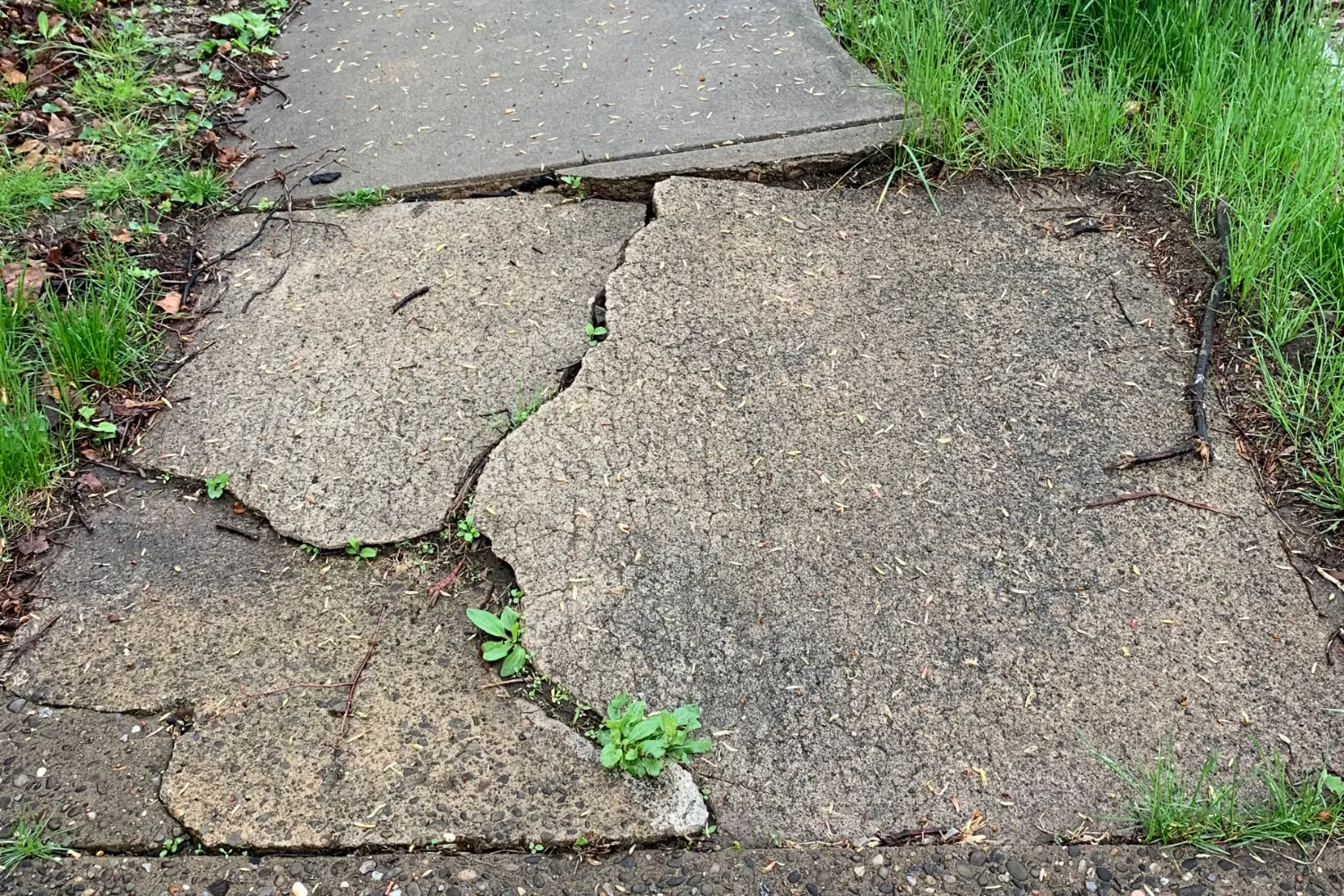 Protect Hardscapes from Freeze-Thaw Damage | Colorado Springs